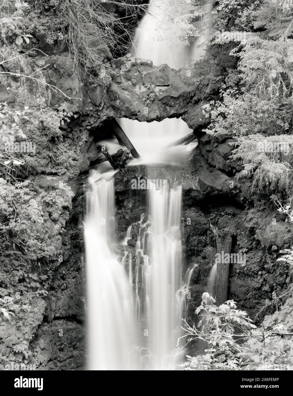 BW01866-00.....WASHINGTON - Curly Creek Falls in the Lewis River Valley ...