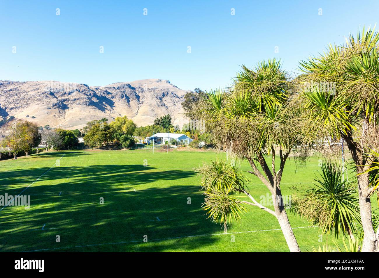 Cabbage trees rugby club ground diamond harbour centre central w hi-res ...