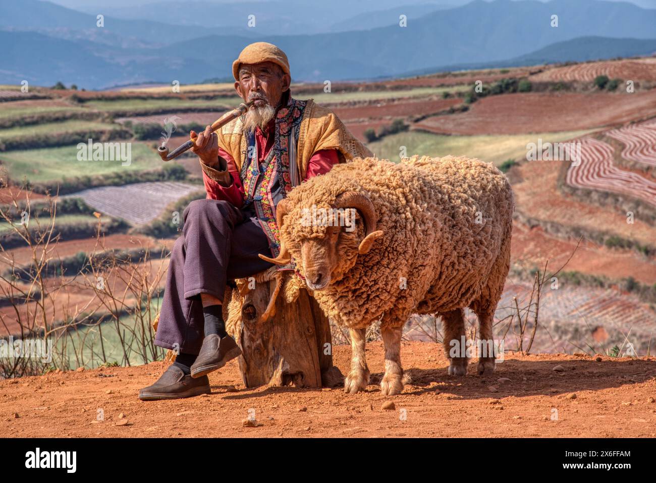 Yunnan, China. April 27, 2024: An old shepherd smoking pipe and sitting ...