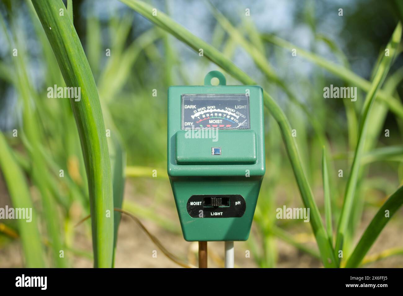 Soil moisture, light intensity and PH testing meter in close up ...