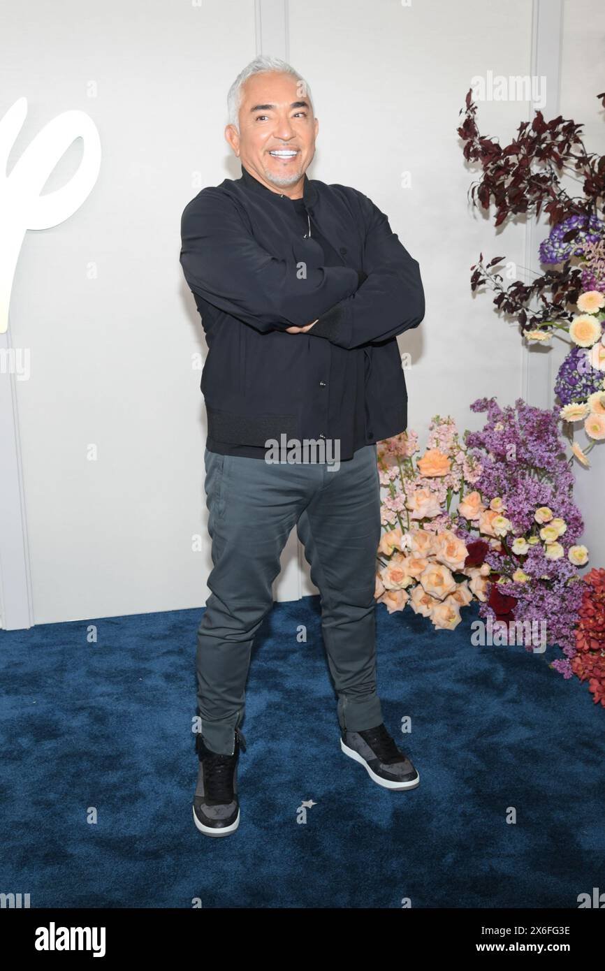 Cesar millan 2024 upfront hi-res stock photography and images - Alamy