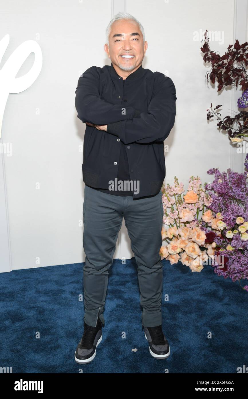 Cesar millan 2024 upfront hi-res stock photography and images - Alamy