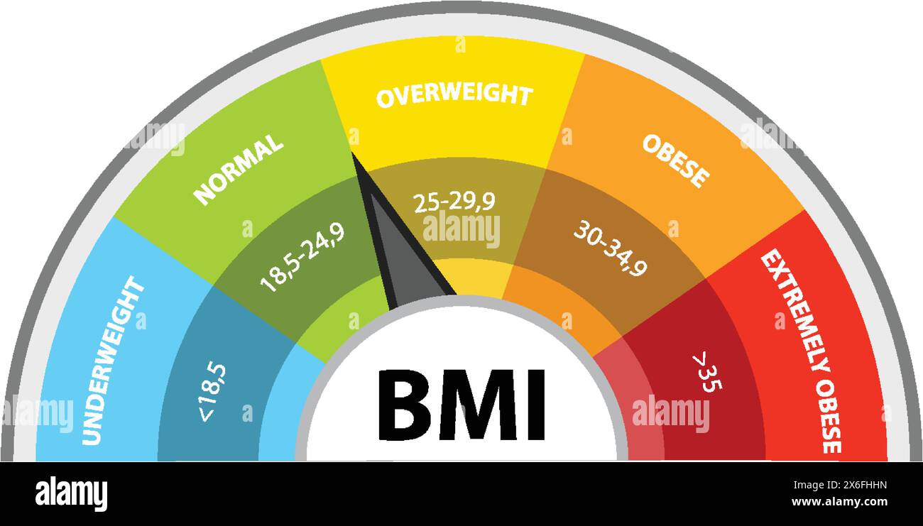 Colorful BMI gauge showing weight categories Stock Vector Image & Art ...