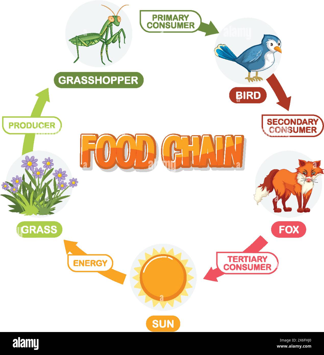 Consumer flow Cut Out Stock Images & Pictures - Alamy