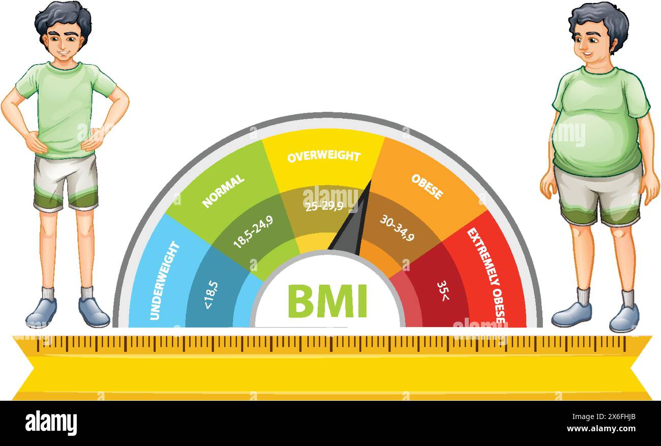 Illustration of BMI scale and weight categories Stock Vector Image ...