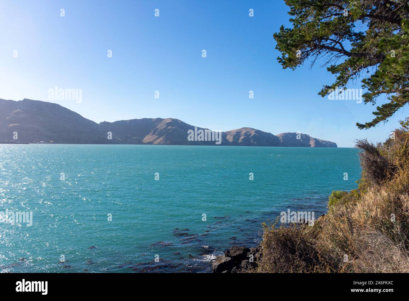 Godley heads from landscape seascape mt herbert walkway jetty di hi-res ...