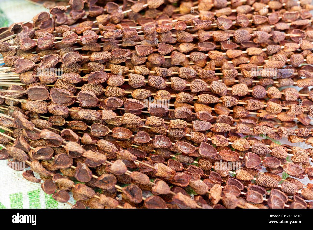 Dried betel nut hi-res stock photography and images - Alamy