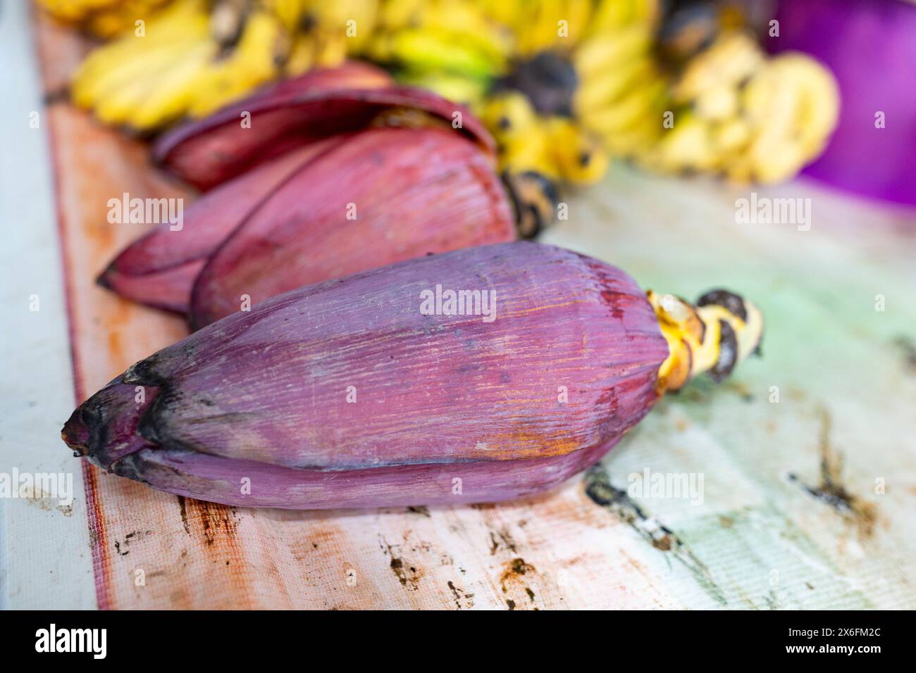 Banana flower for sale at Mercado Taibesi, Dili, Timor-Leste Stock ...
