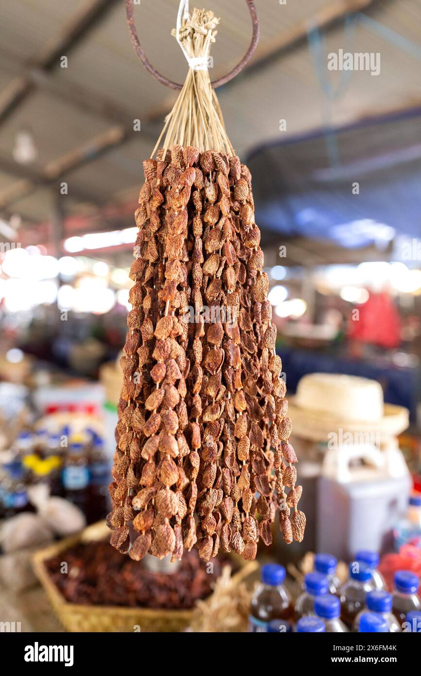 Dried betel nut hi-res stock photography and images - Alamy