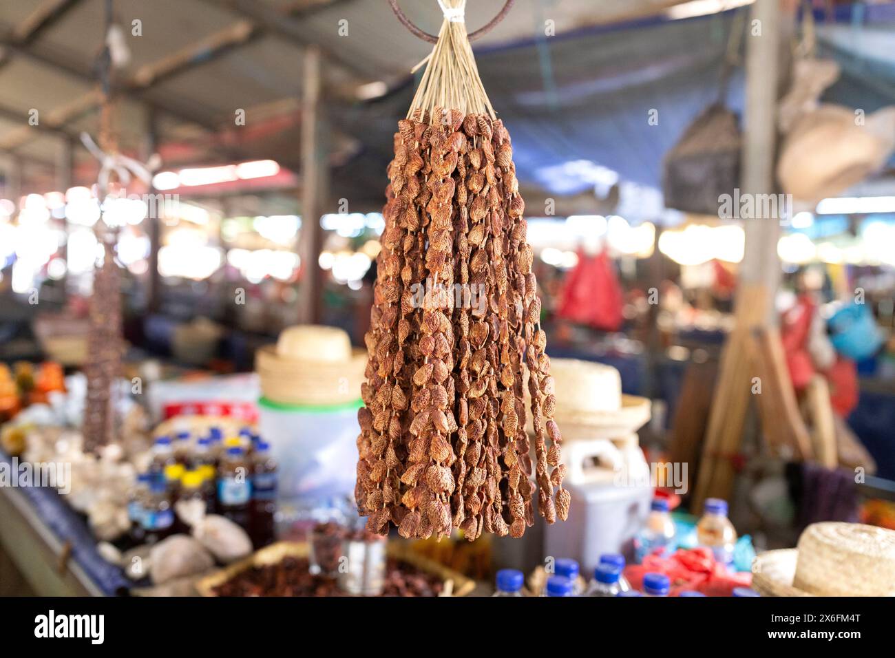 Sun dried betel nut on a string for sale at Mercado Taibesi, Dili ...