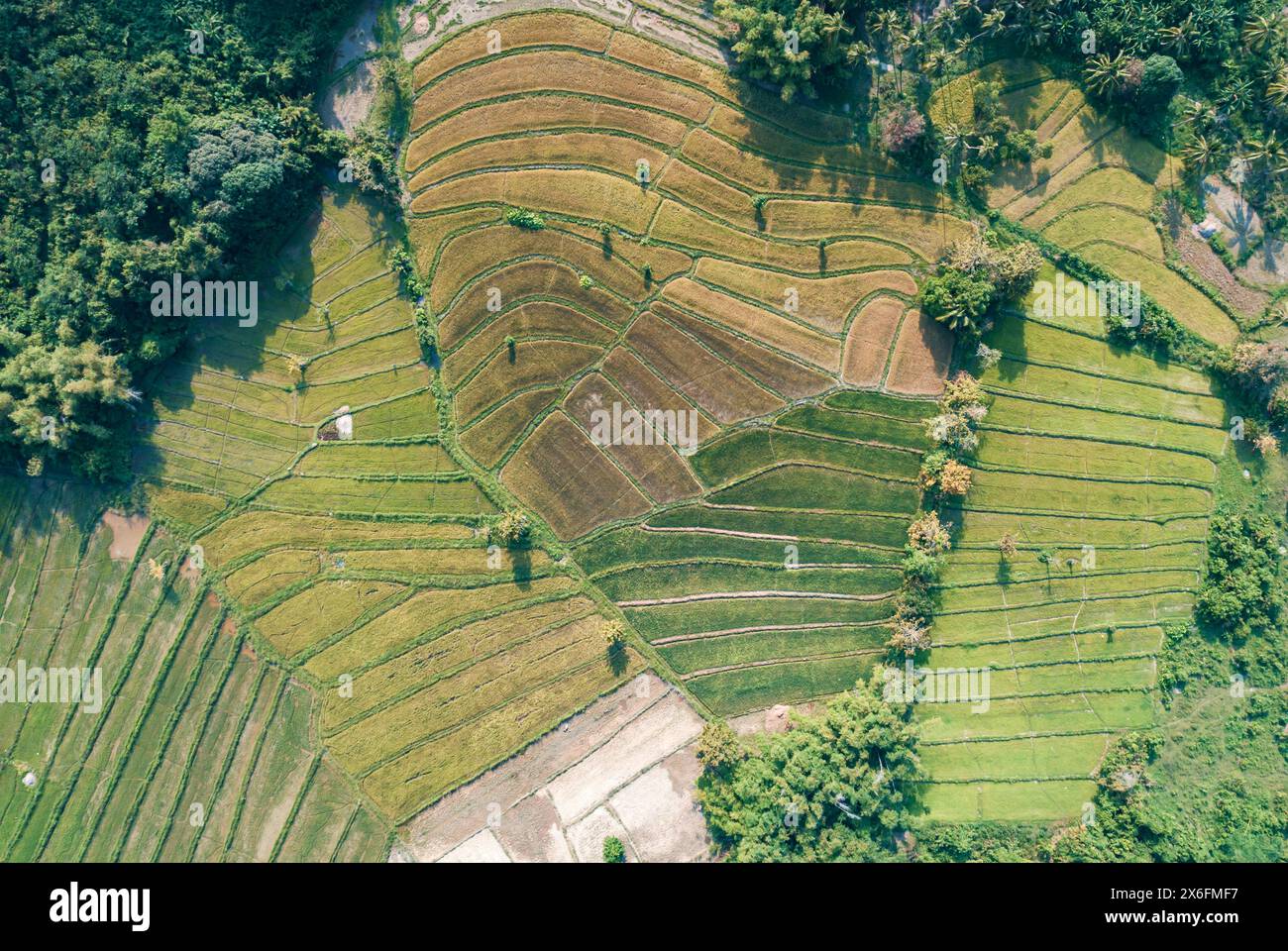Aerial view of harvested rice terraces in rural Asia during late ...
