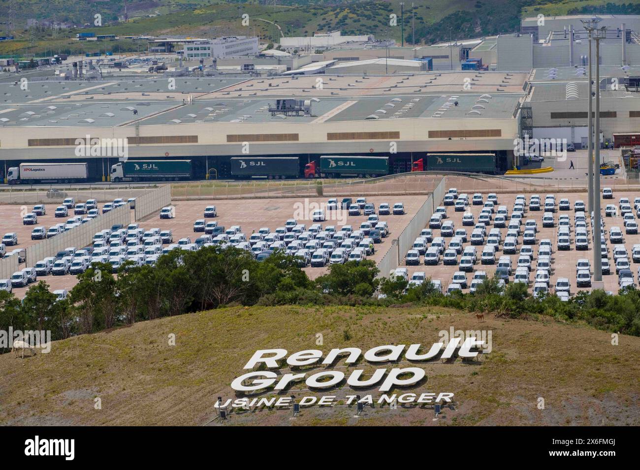 Newly manufactured cars are parked outside Renault factory on the ...
