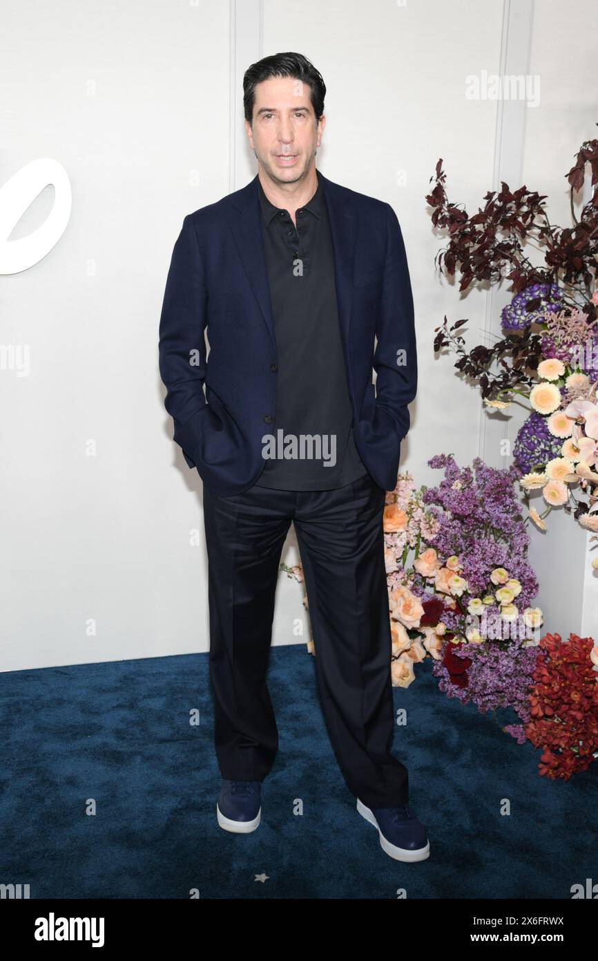 New York, USA. 14th May, 2024. David Schwimmer attending the Disney ...