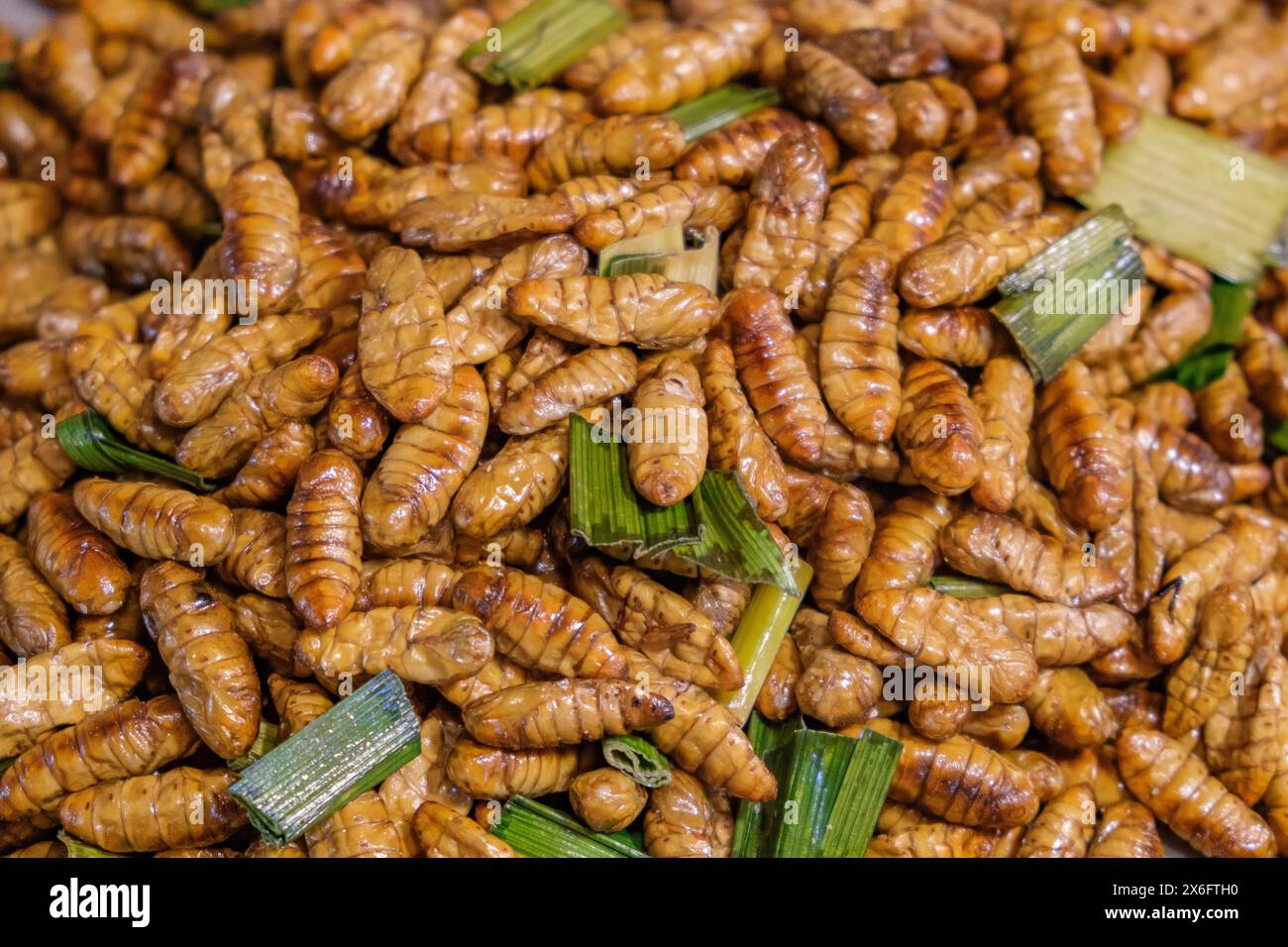fried insect larvae, asian exotic street food, selective focus Stock ...