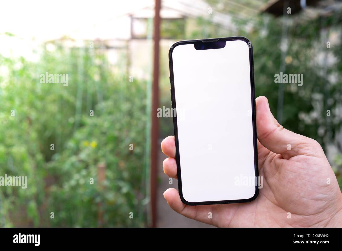 Artificial intelligent management system in farm. Smart gardening at ...