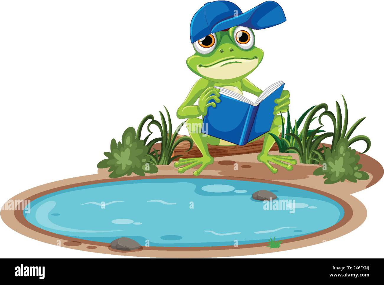 Cartoon frog reading a book beside a pond Stock Vector Image & Art - Alamy