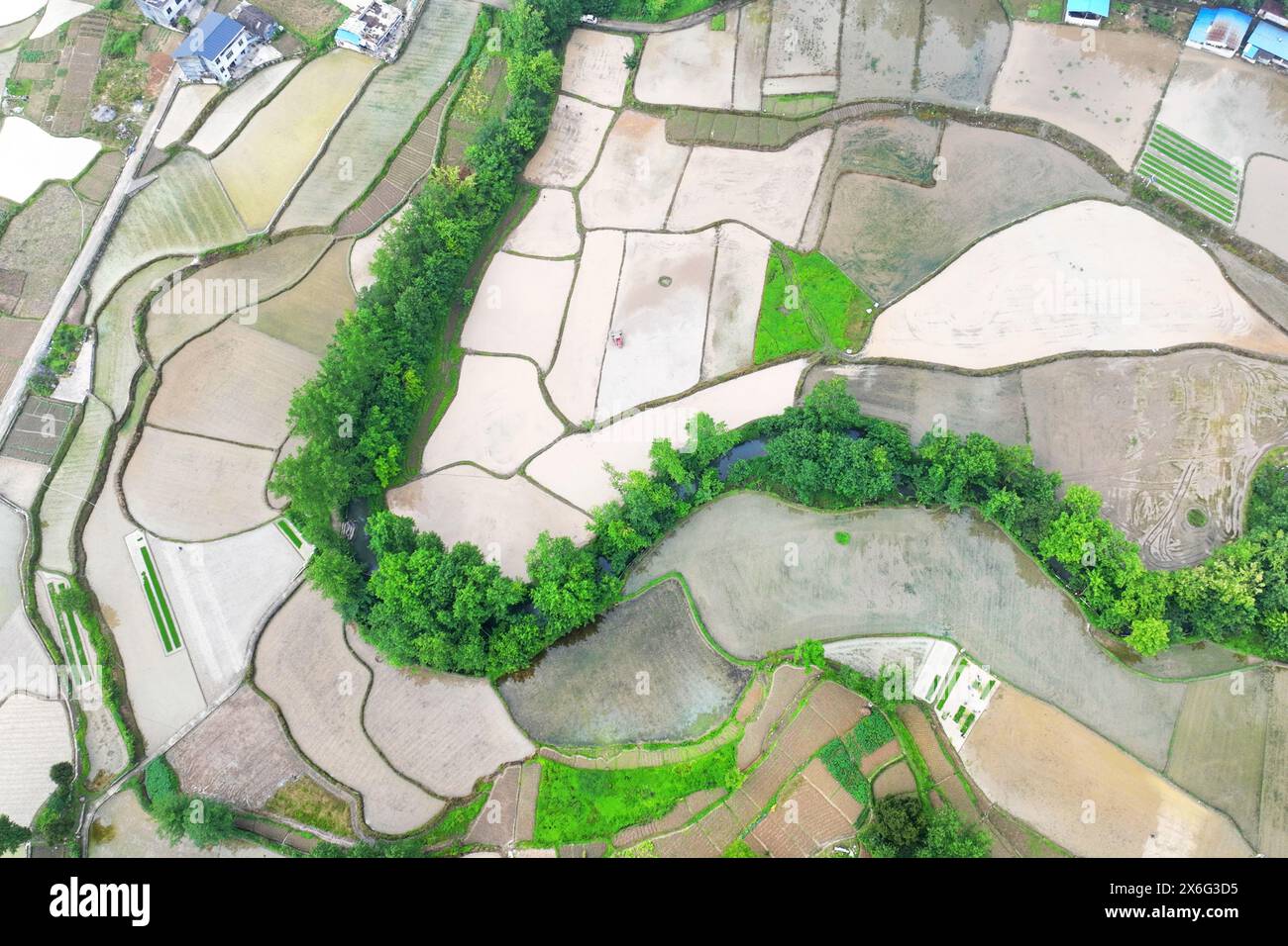 Aerial photos show villagers are busy planting rice seedlings in the ...