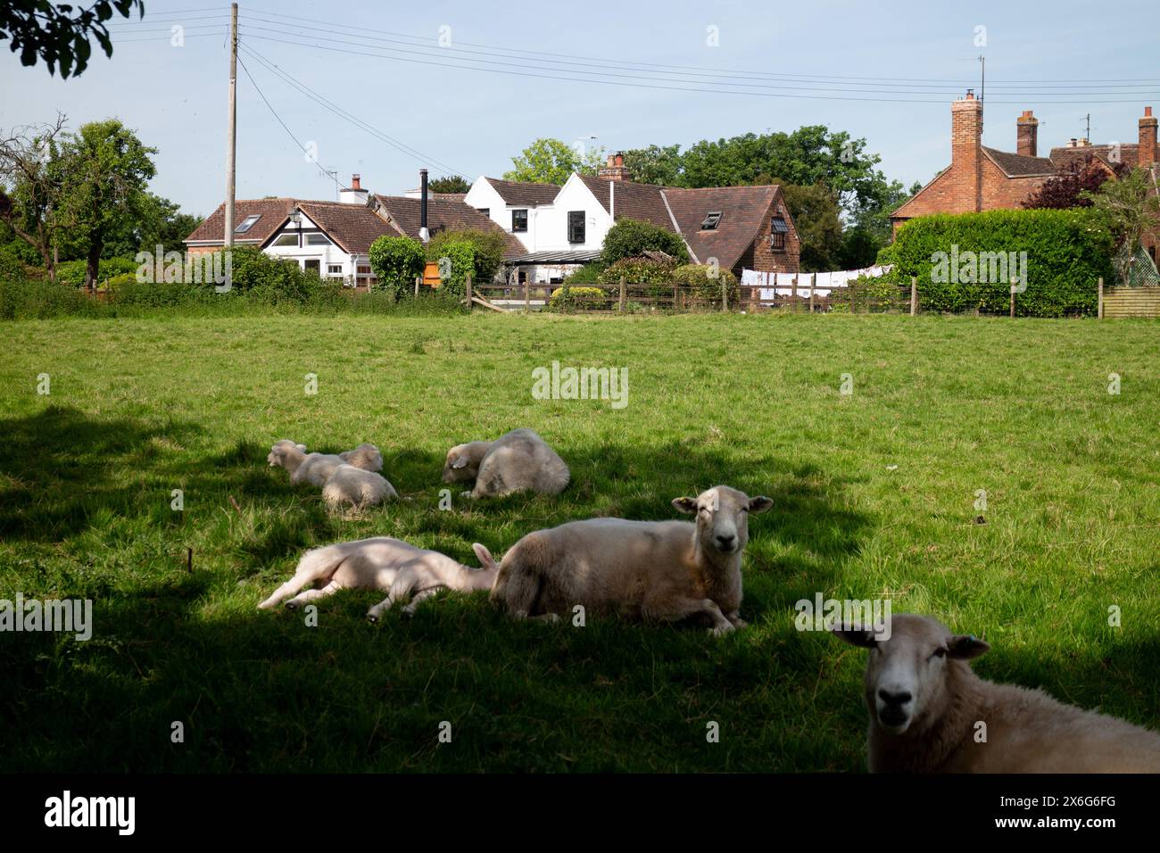 Powick, worcestershire hi-res stock photography and images - Alamy