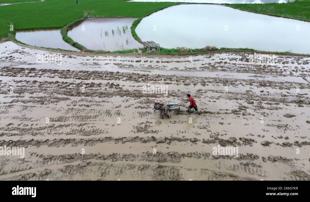 Aerial photo shows a farmer driving a hand tractor to till the fields ...