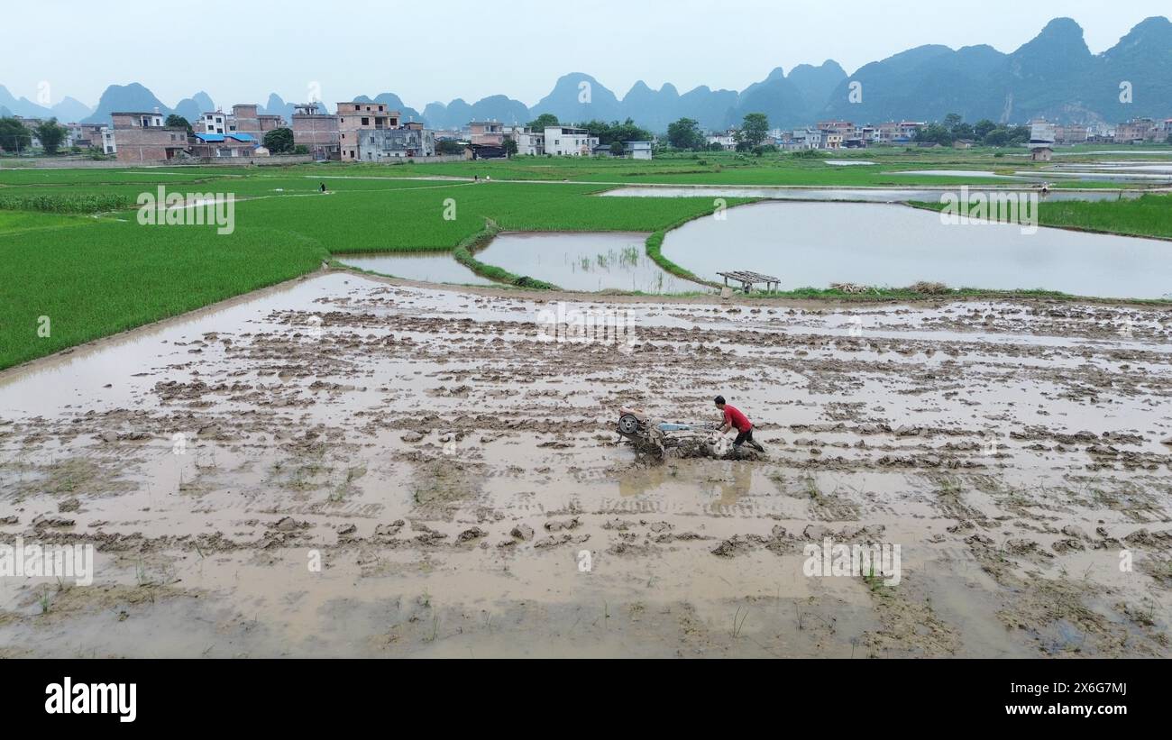 Aerial photo shows a farmer driving a hand tractor to till the fields ...