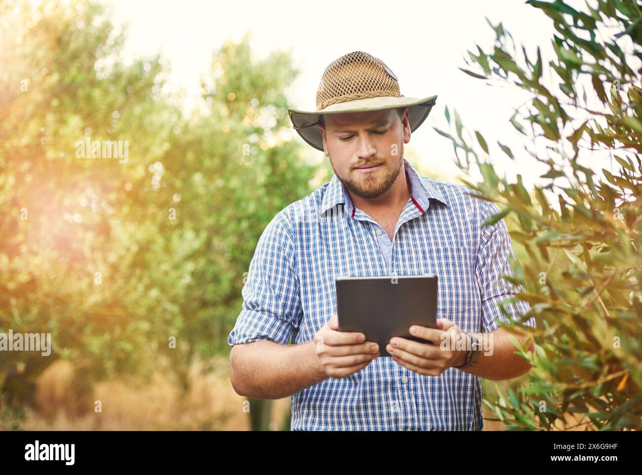 Inspection, farmer and man with tablet, agriculture and check quality ...