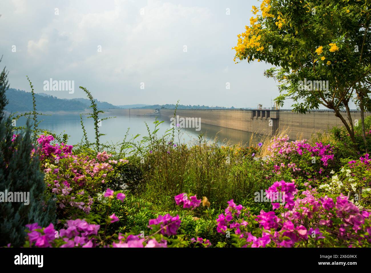 Nakhon Nayok, Thailand - March 2, 2024 : Landscape in Khun Dan Prakan ...