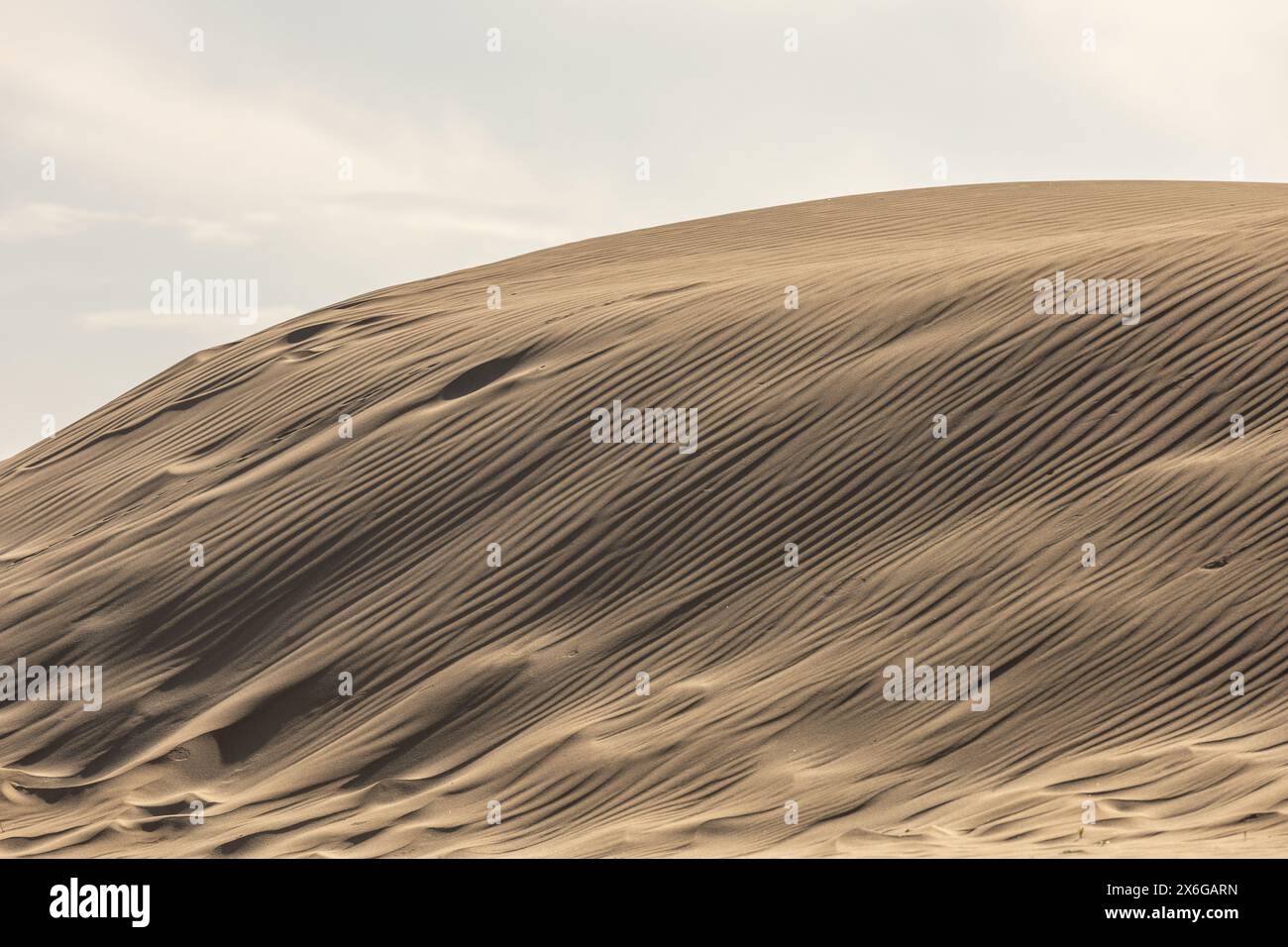 Texture of dunes in desert Sand shaped like wave on earth blue sky with ...