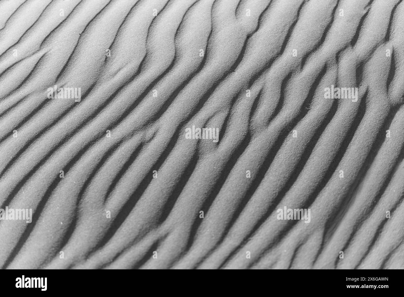 Blur grain texture hi-res stock photography and images - Alamy