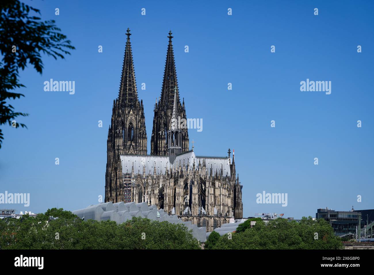 the imposing cologne cathedral towers on a hill on the banks of the ...