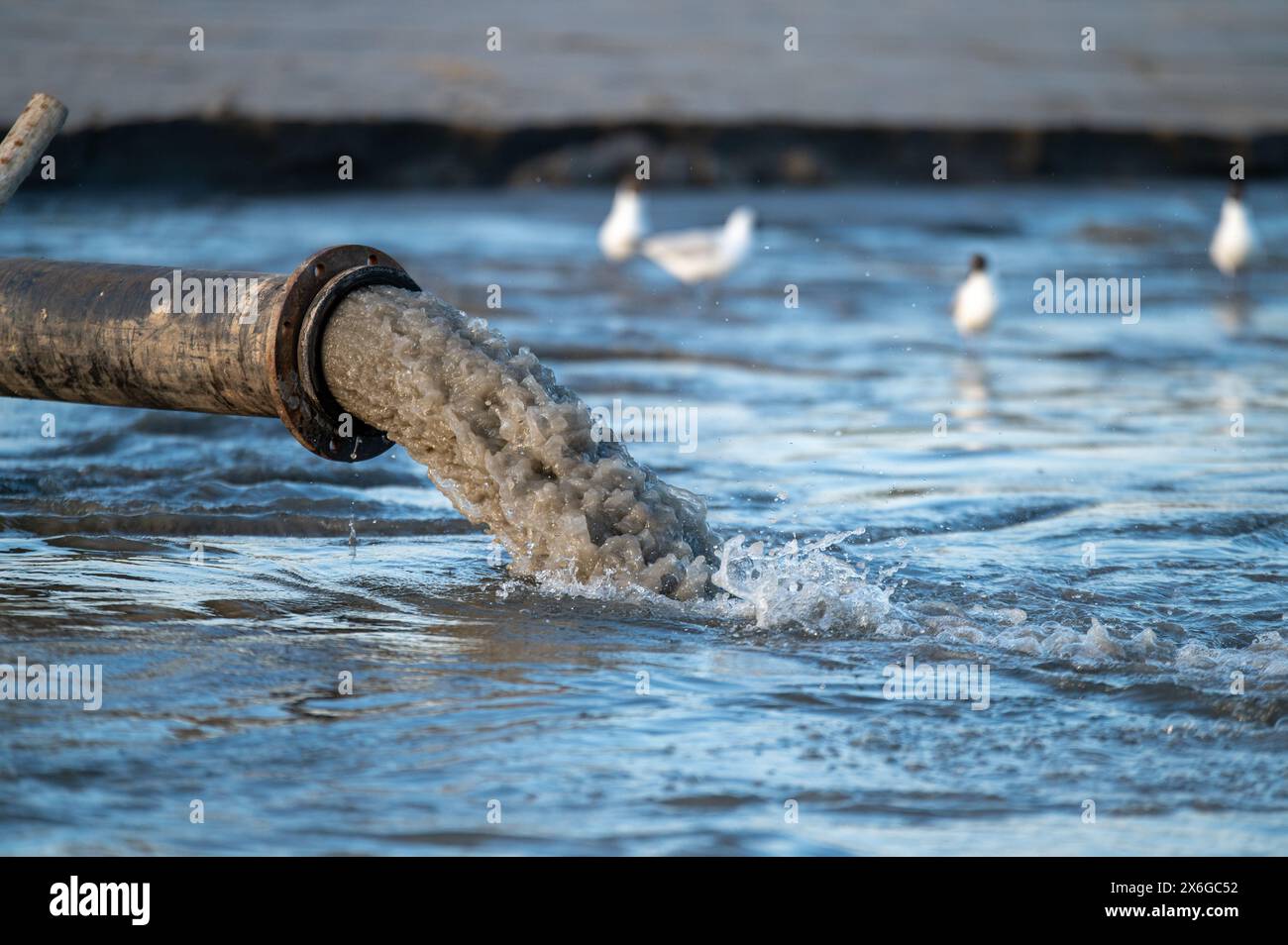 Beach restoration using a sand transfer system in Engure, Latvia Stock ...