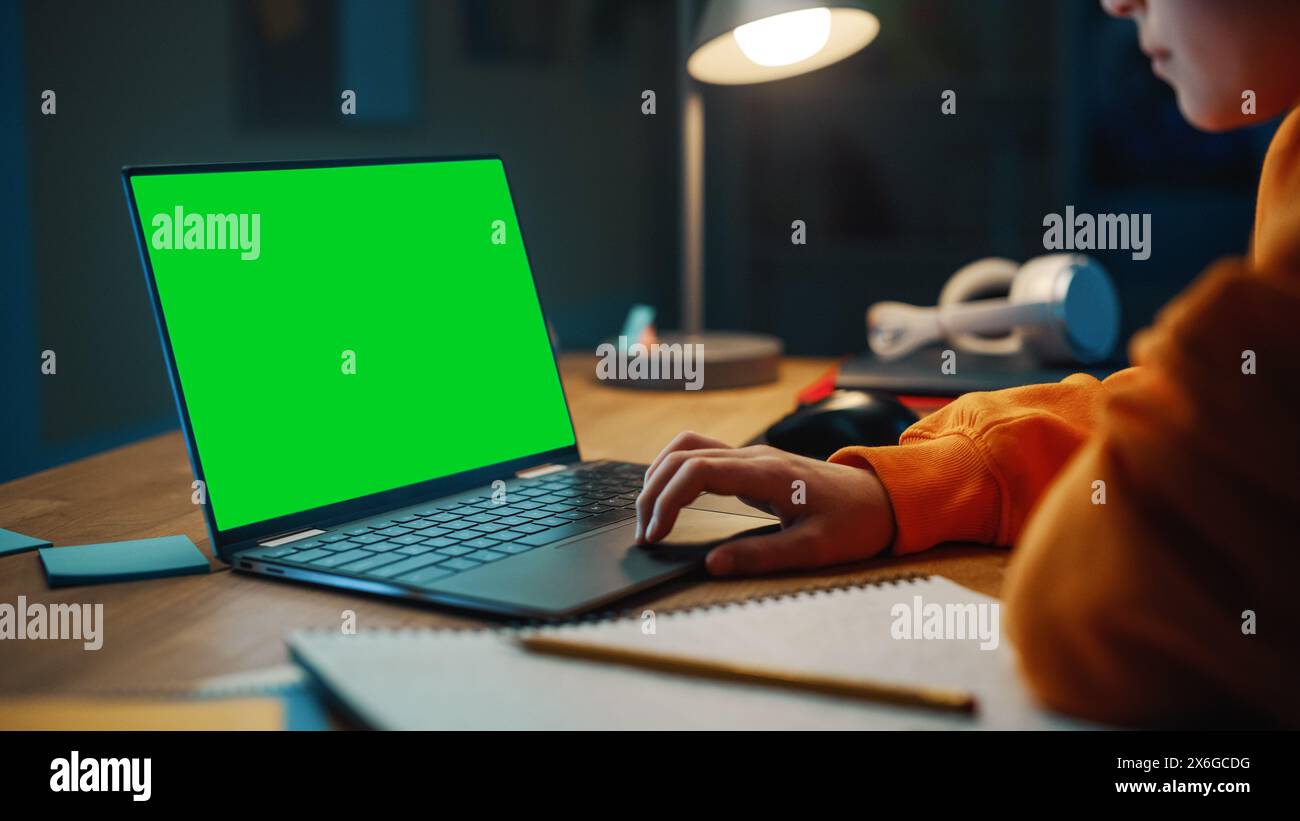 Smart Young Boy Researching Homework on Laptop Computer with Green ...