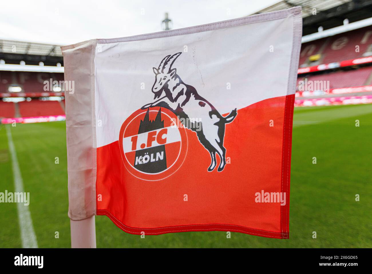 Cologne, Deutschland. 04th May, 2024. firo : 04.05.2024, football ...