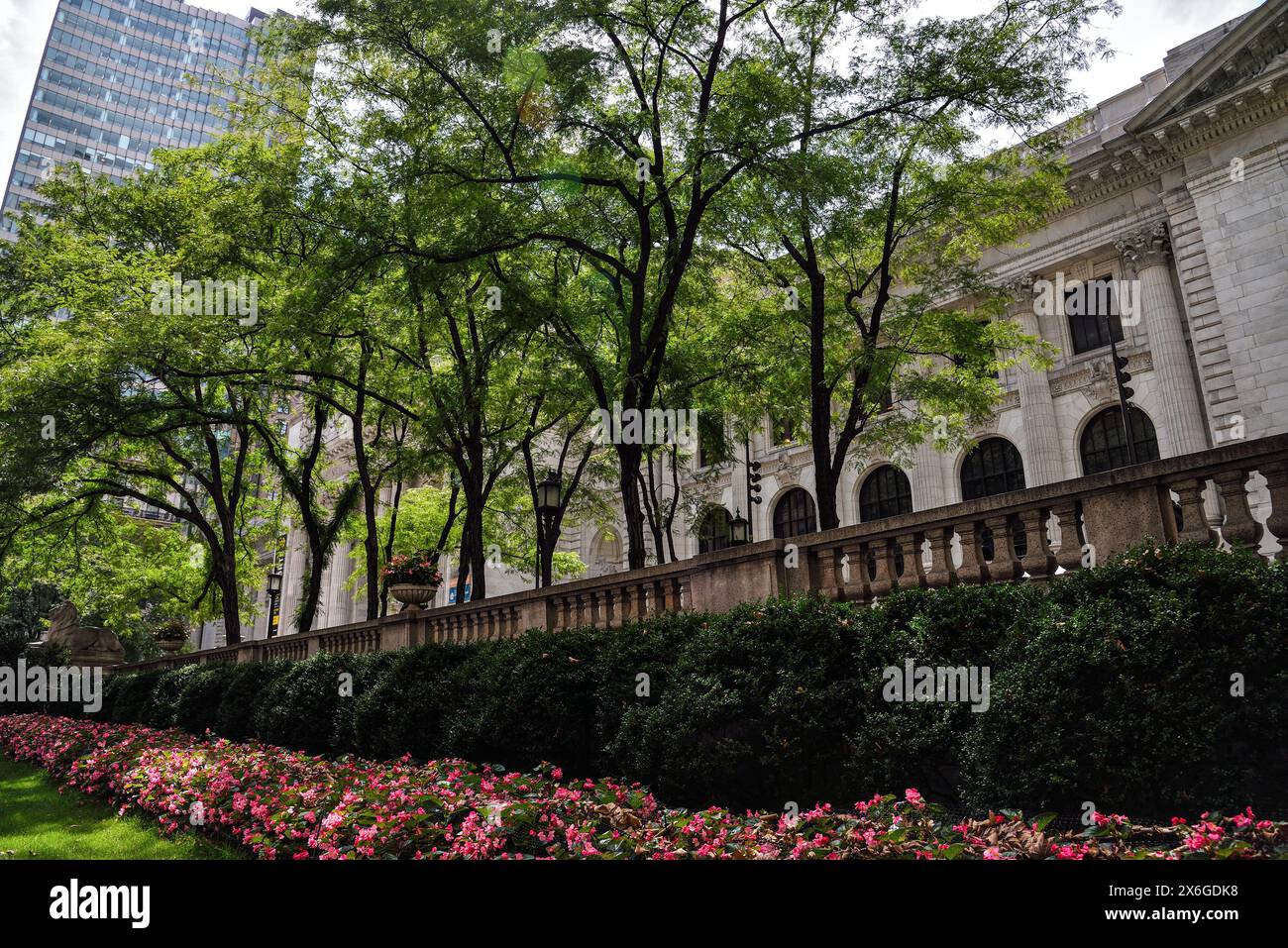 Flowers by the Terrace Balustrade of New York Public Library (NYPL ...