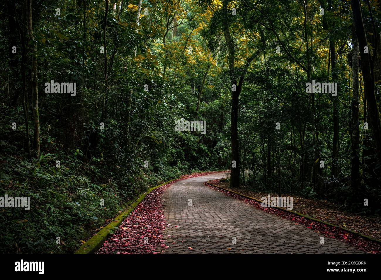 Duque road hi-res stock photography and images - Alamy
