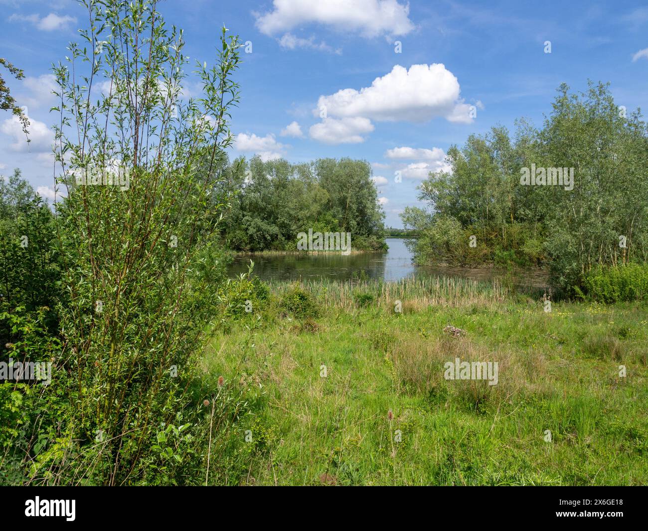 A view over Summer Leys, a series of former gravel pits, now a nature ...