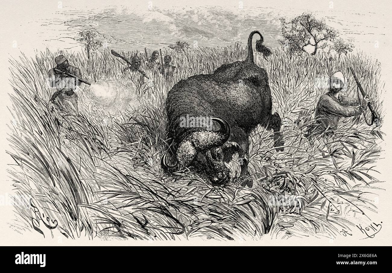 Hunting a buffalo in the jungle, Tanzania, East Africa. Drawing by ...
