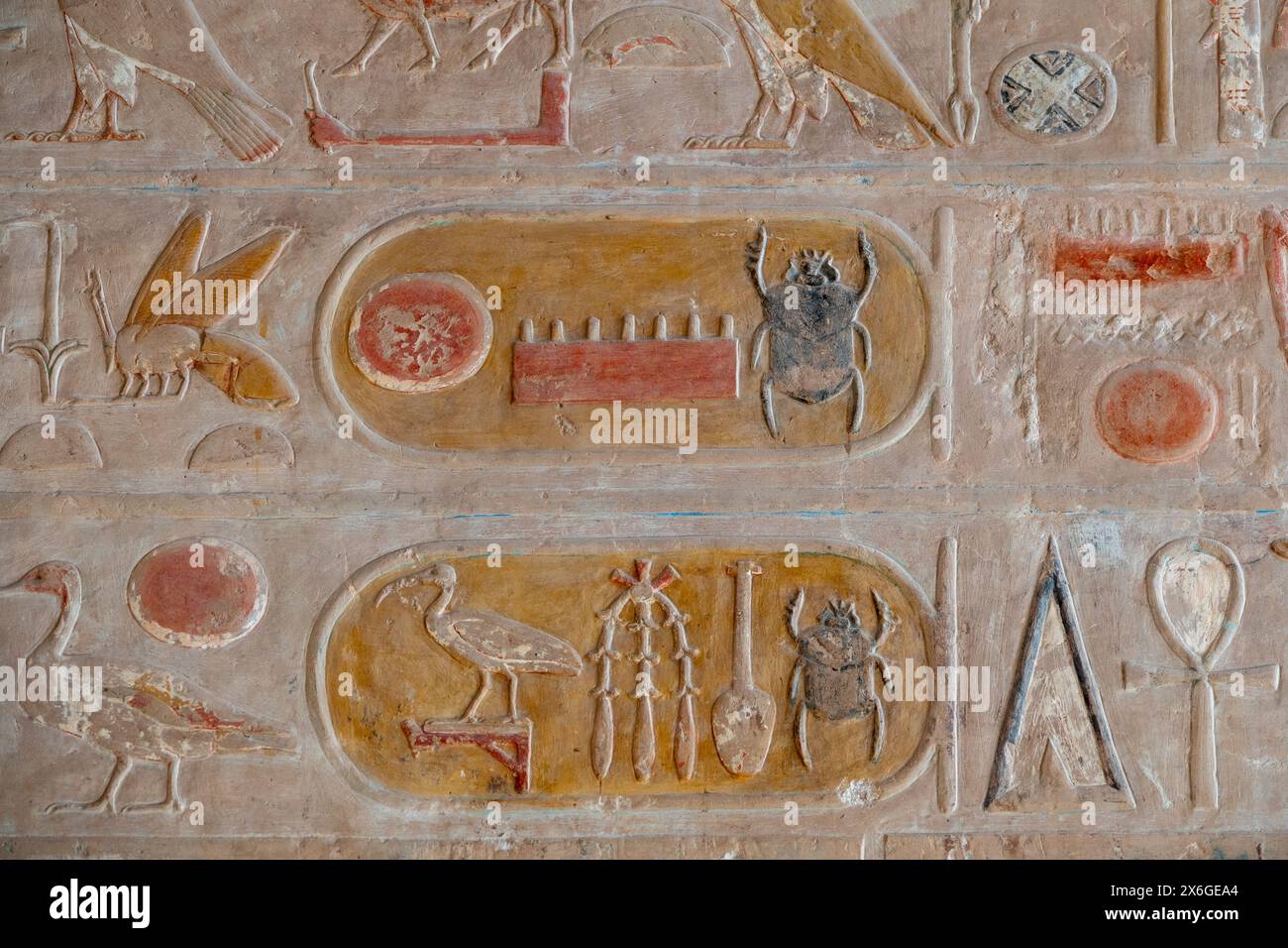 Cartouche of Thutmose III at the Temple of Hatshepsut at Deir el Bahari ...