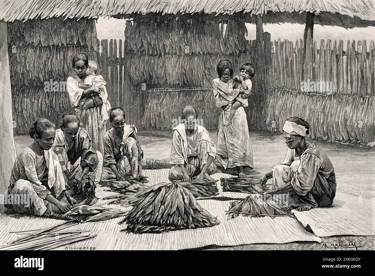 Indigenous natives of the island of Luzon making tobacco, Luzon Island ...