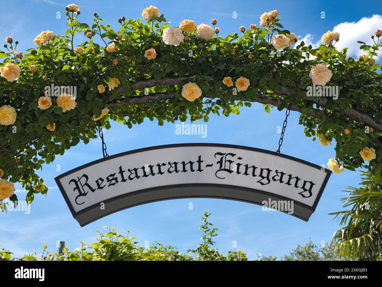 Restaurant-Eingang mit Rosen *** Restaurant entrance with roses Stock ...