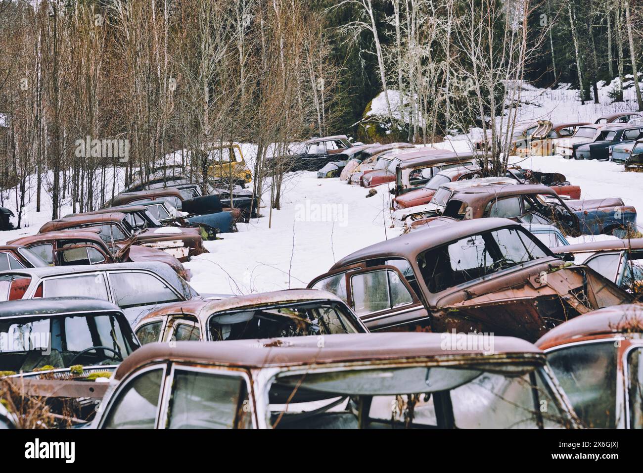 Rusty cars hi-res stock photography and images - Alamy
