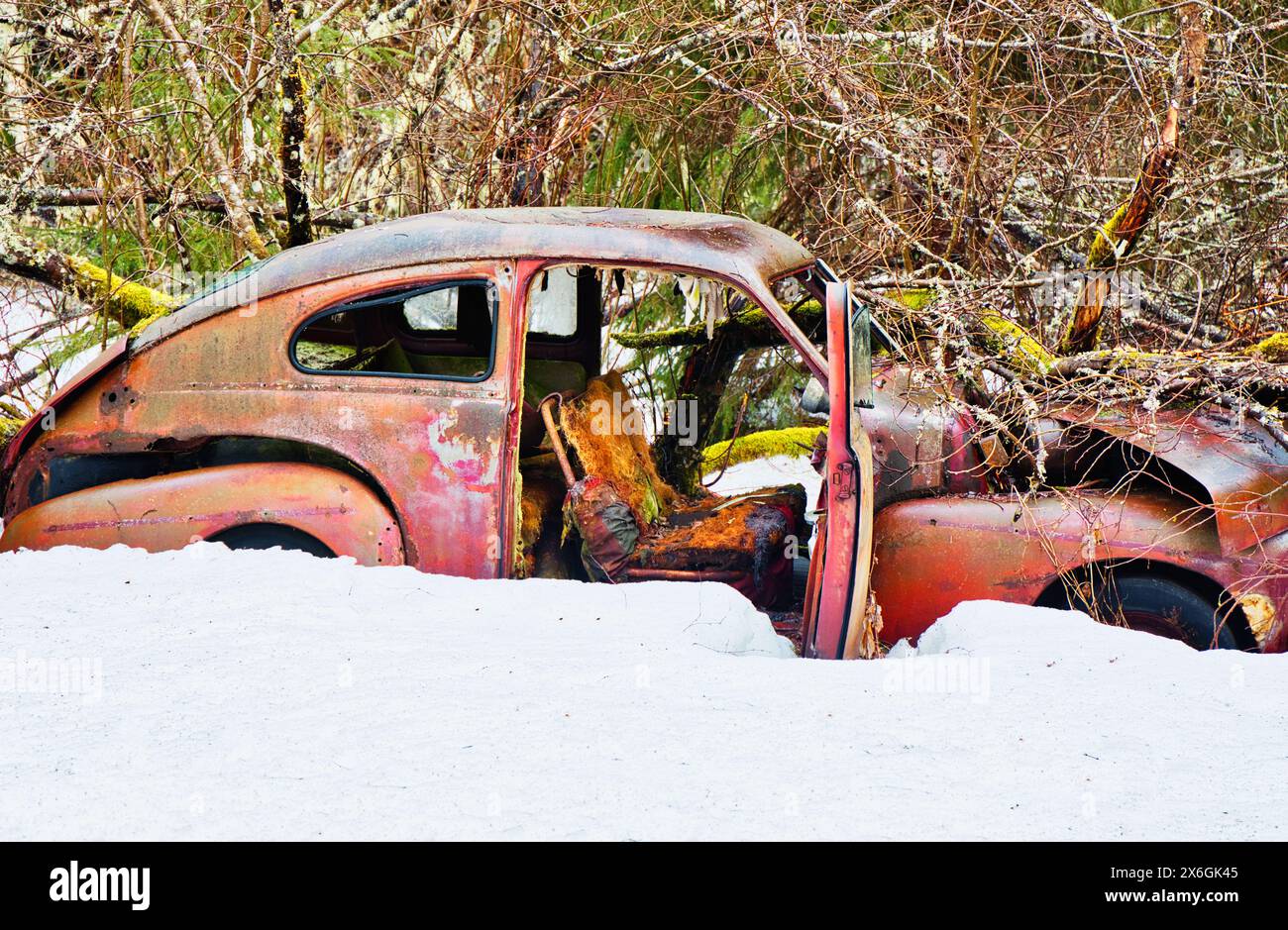 Abandoned, deserted, neglected rusty classic vintage retro car automobile in deep snow, Bastnas ...
