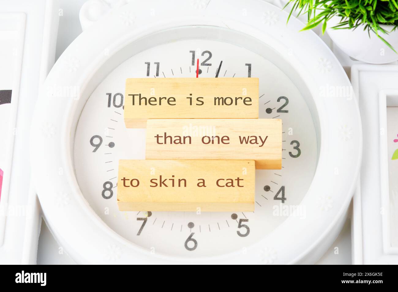 More then way to skin a cat hi-res stock photography and images - Alamy