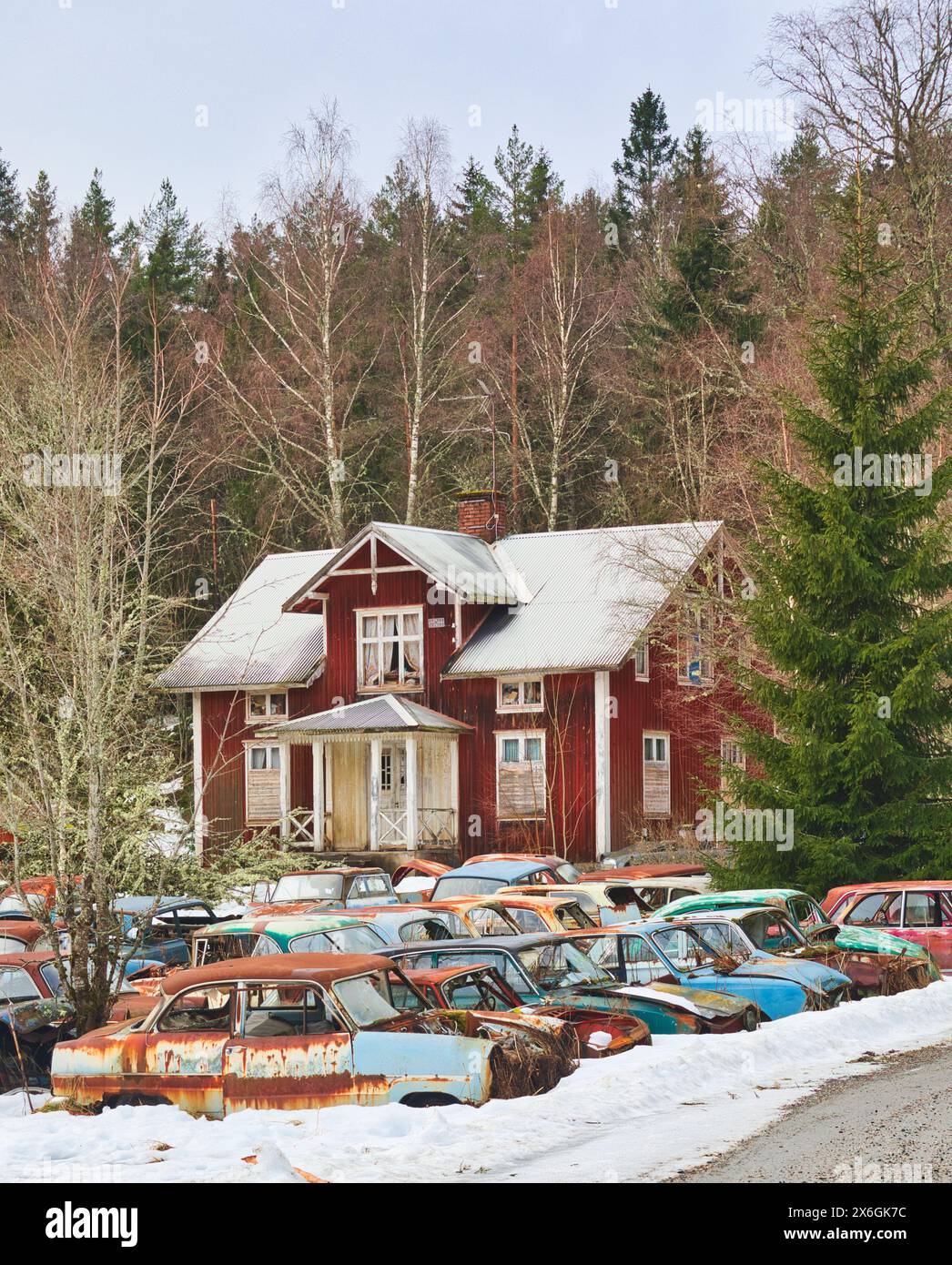Abandoned, deserted, neglected rusty classic vintage retro cars in ...