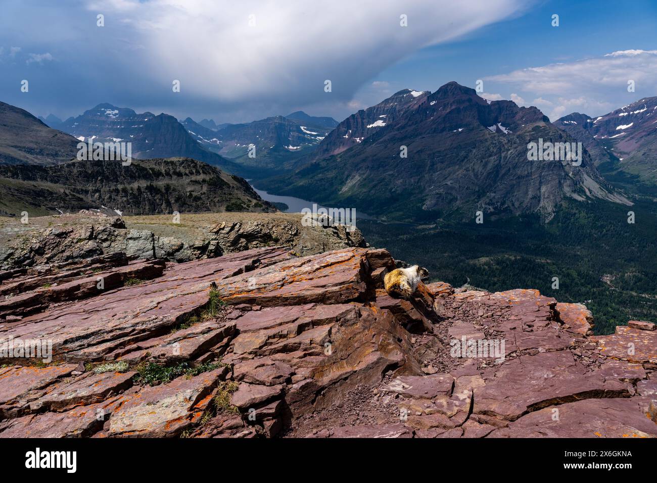 Cliff point montana hi-res stock photography and images - Alamy