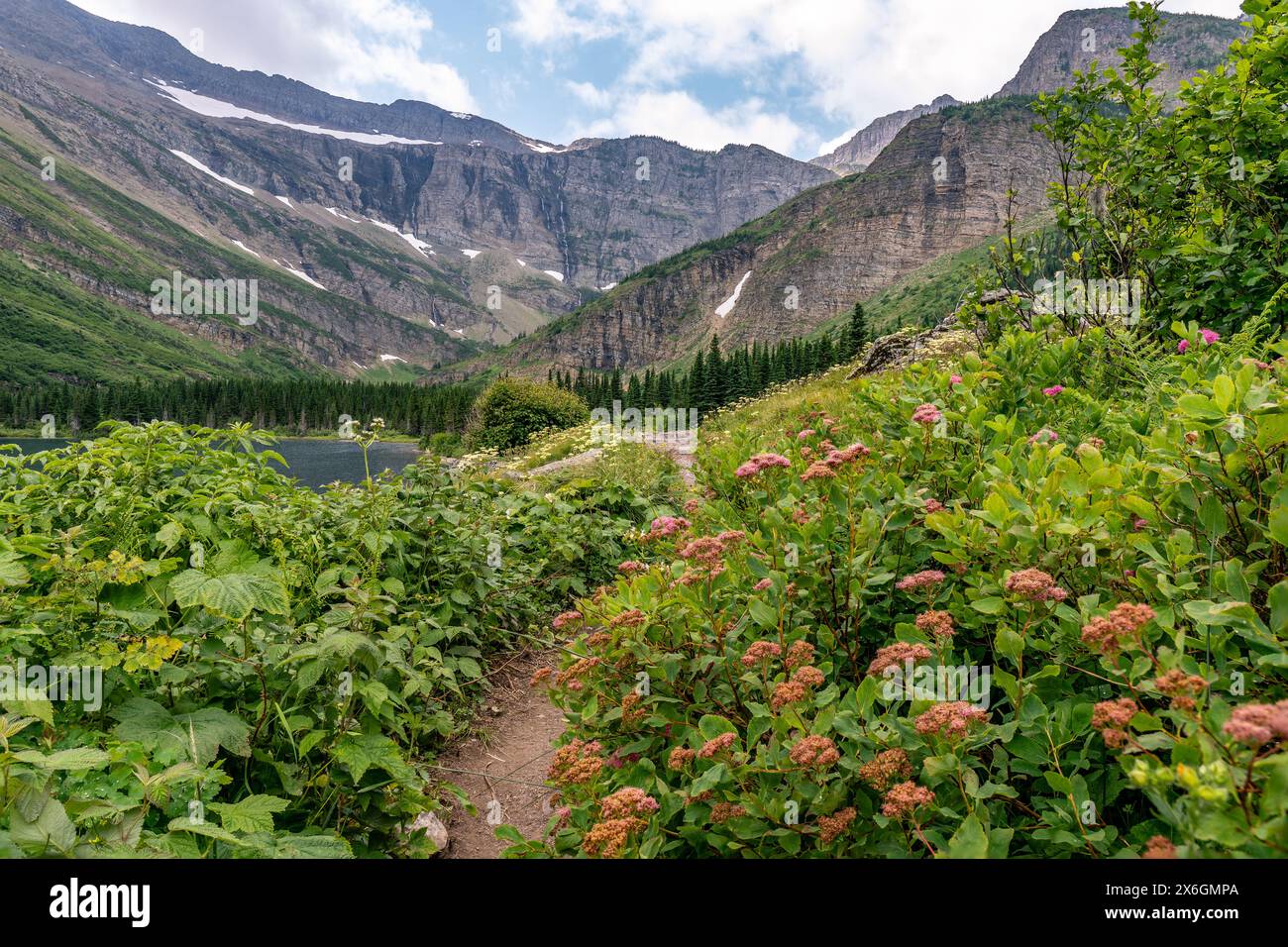 Subalpine spiraea and Bullhead Lake along the trail to Swiftcurrent ...