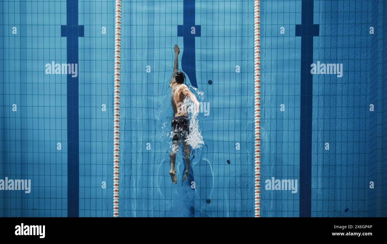 Aerial Top View Male Swimmer Swimming in Swimming Pool. Professional ...