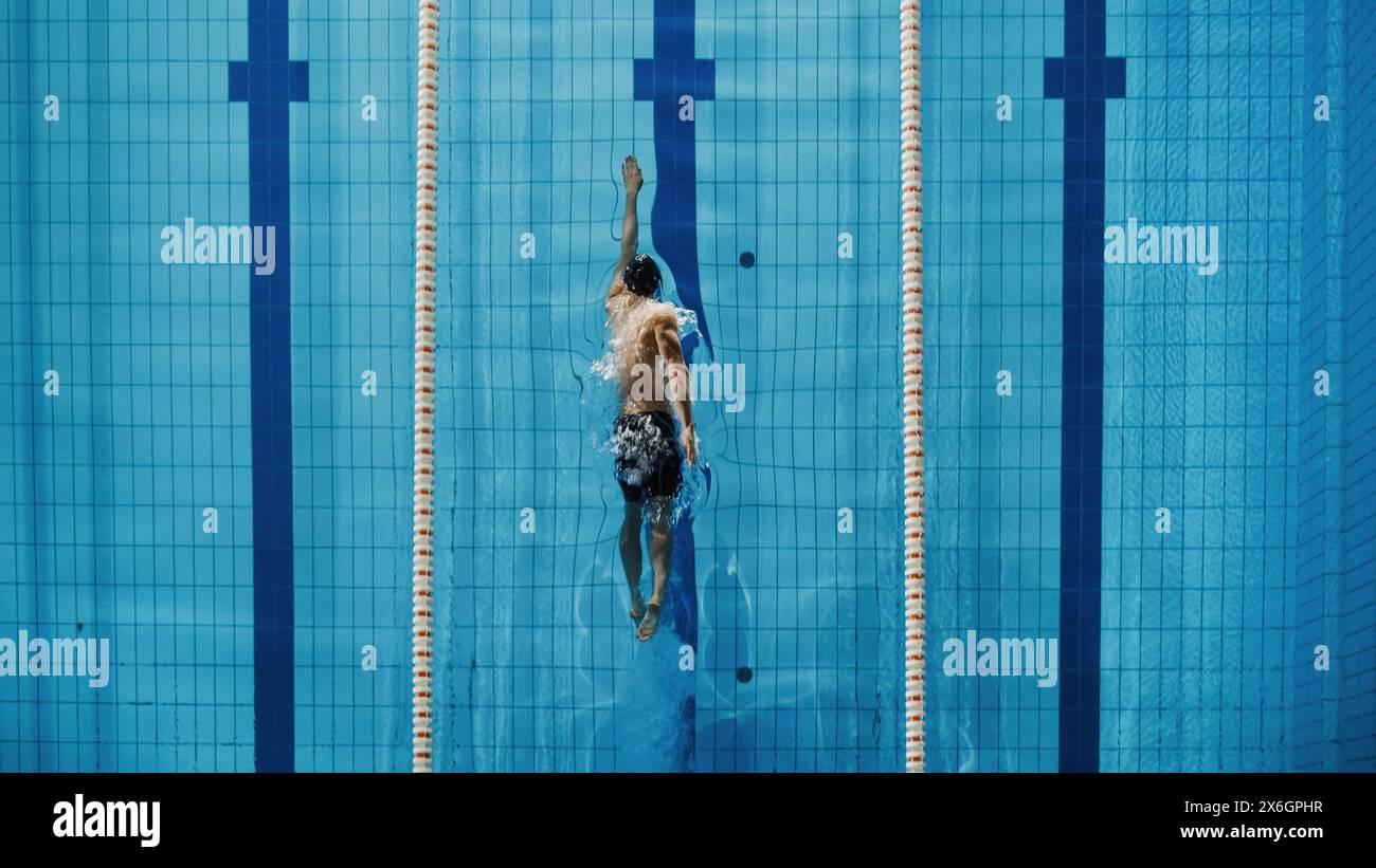 Aerial Top View Male Swimmer Swimming in Swimming Pool. Professional ...