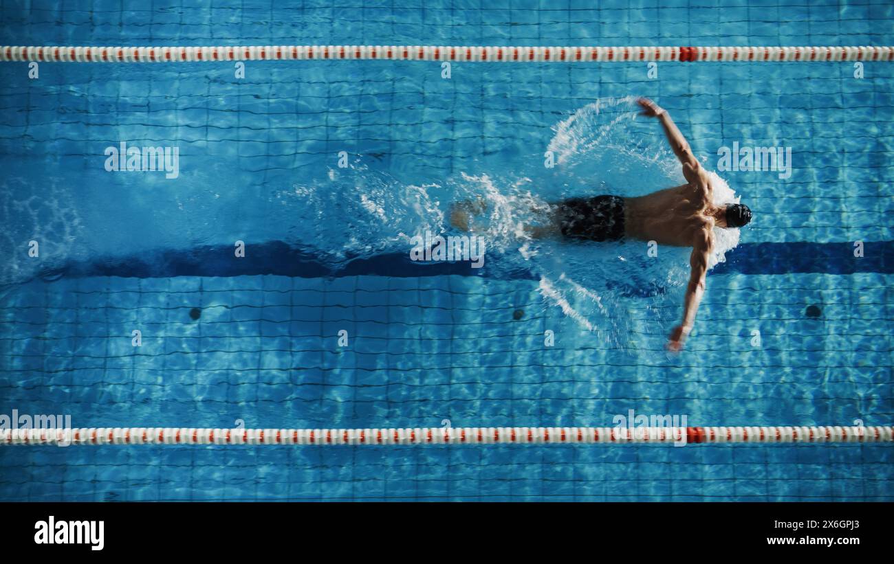 Aerial Top View Male Swimmer Swimming in Swimming Pool. Professional ...