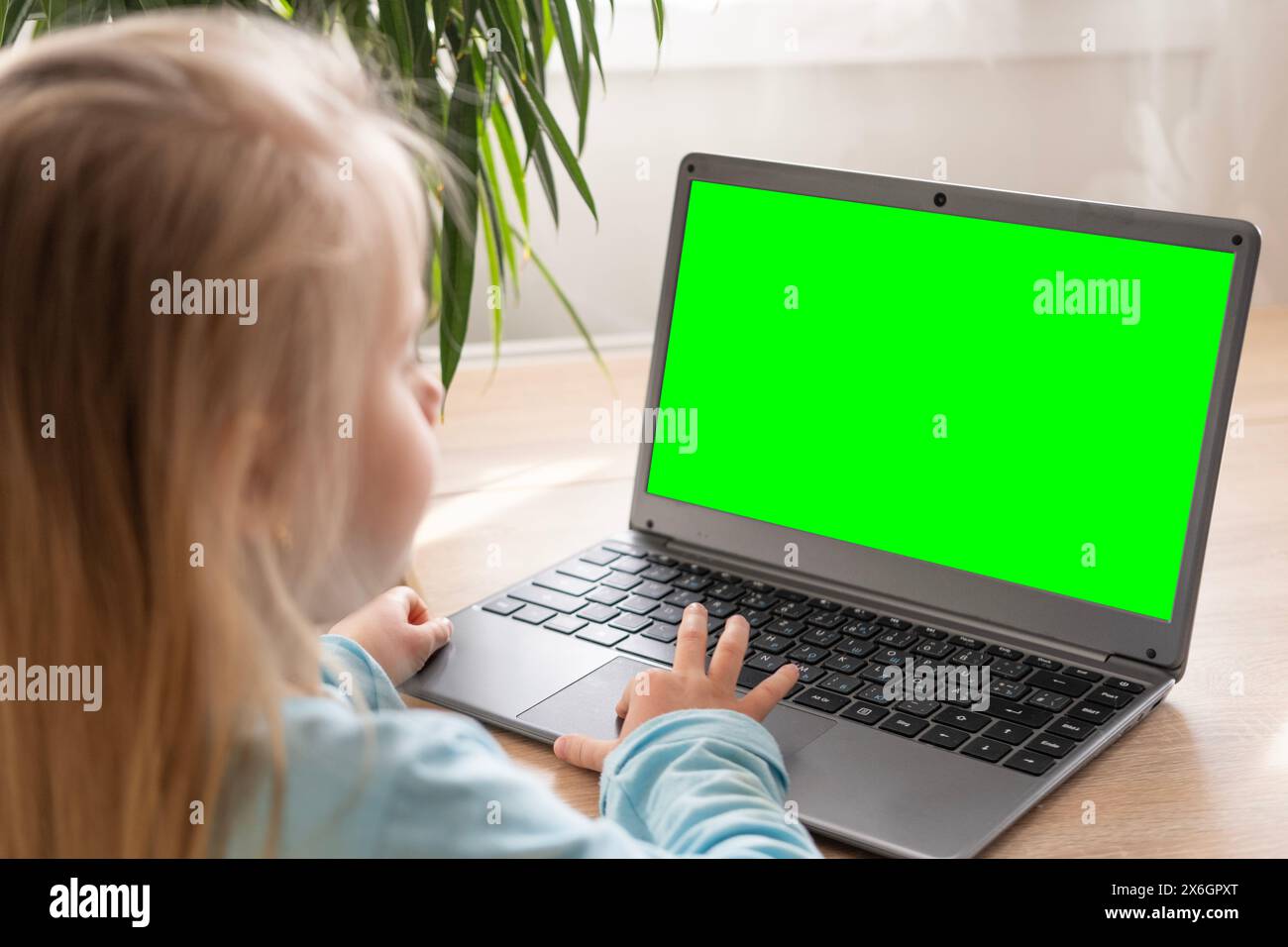 preschool girl studying distance learning course, using computer ...
