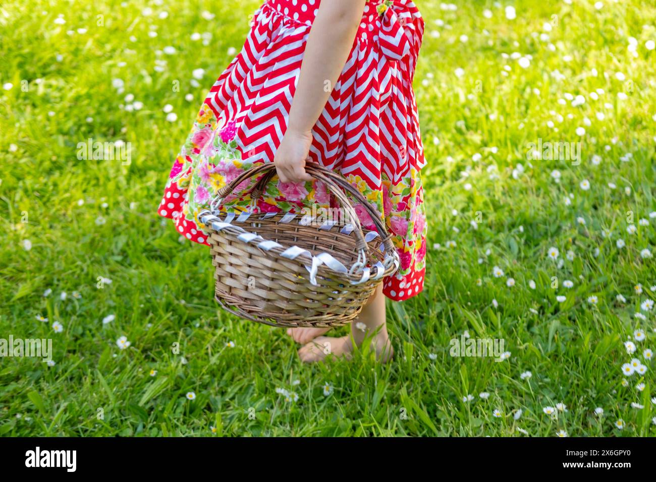 young Barefoot forager discovers wonders of forest floor with wicker ...